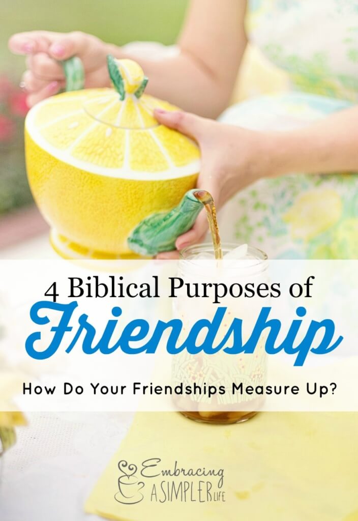4 Biblical Purposes of Friendship: How Do Yours Measure Up? | Embracing ...