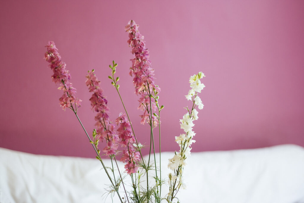 Benefits of Simple Living: How Simple Living Makes Life Better